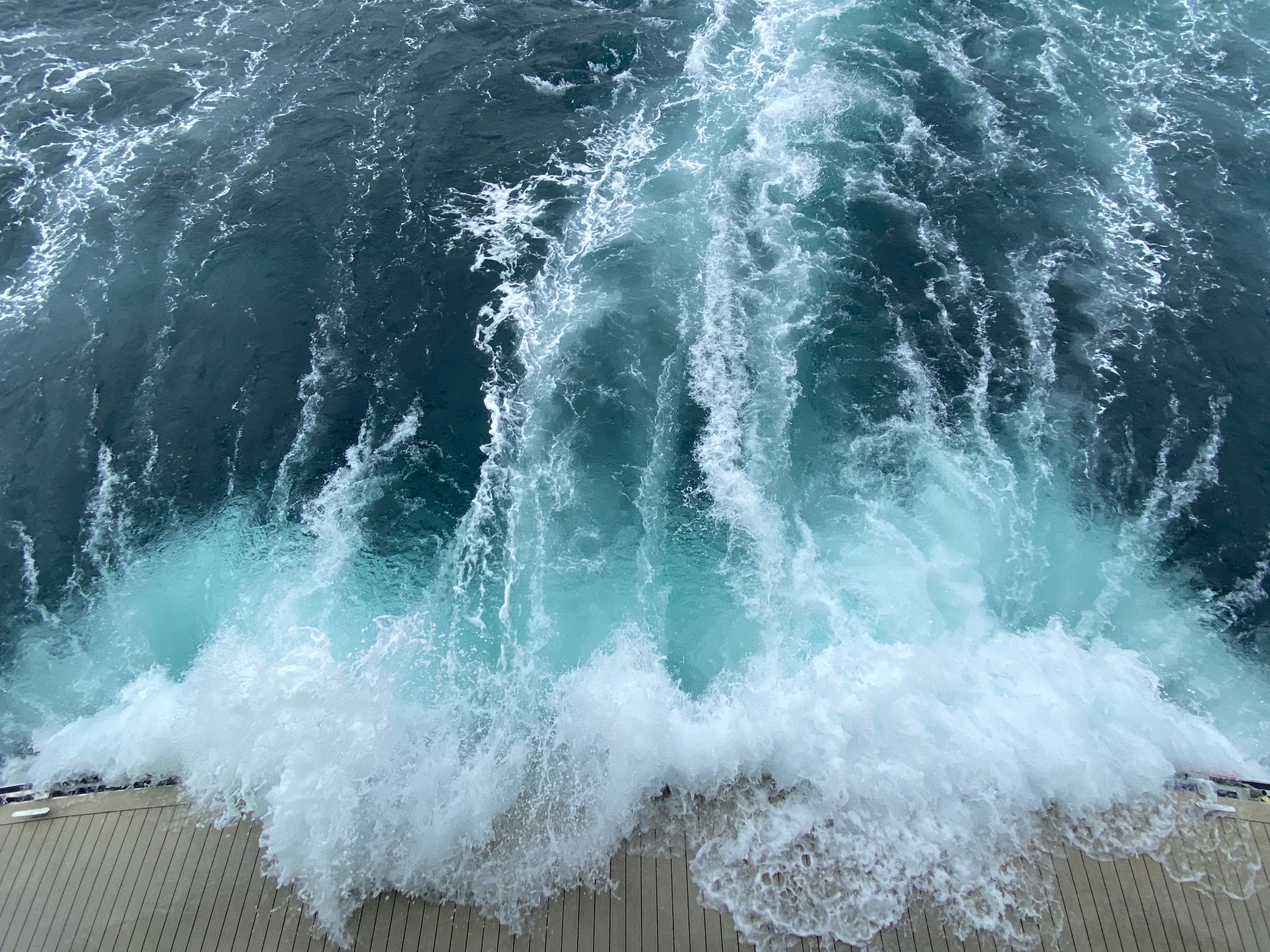 disease, disappointment and pirates… – ardysez