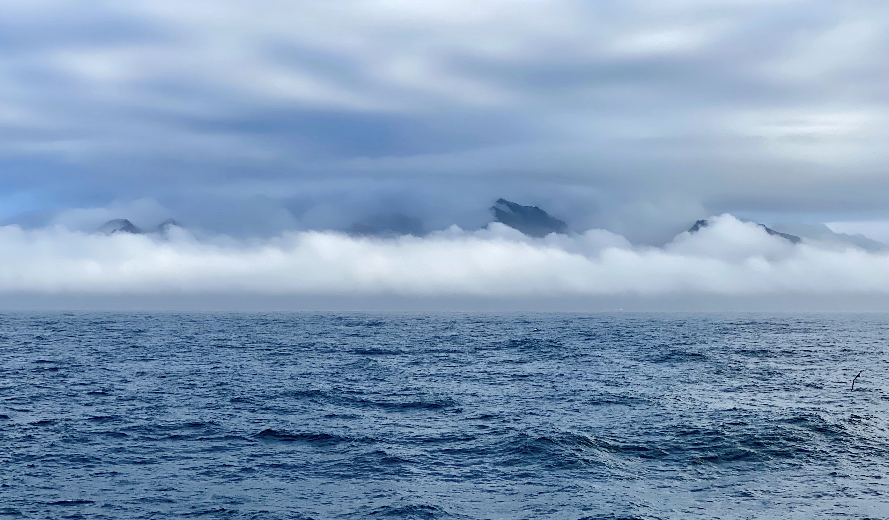 disease, disappointment and pirates… – ardysez