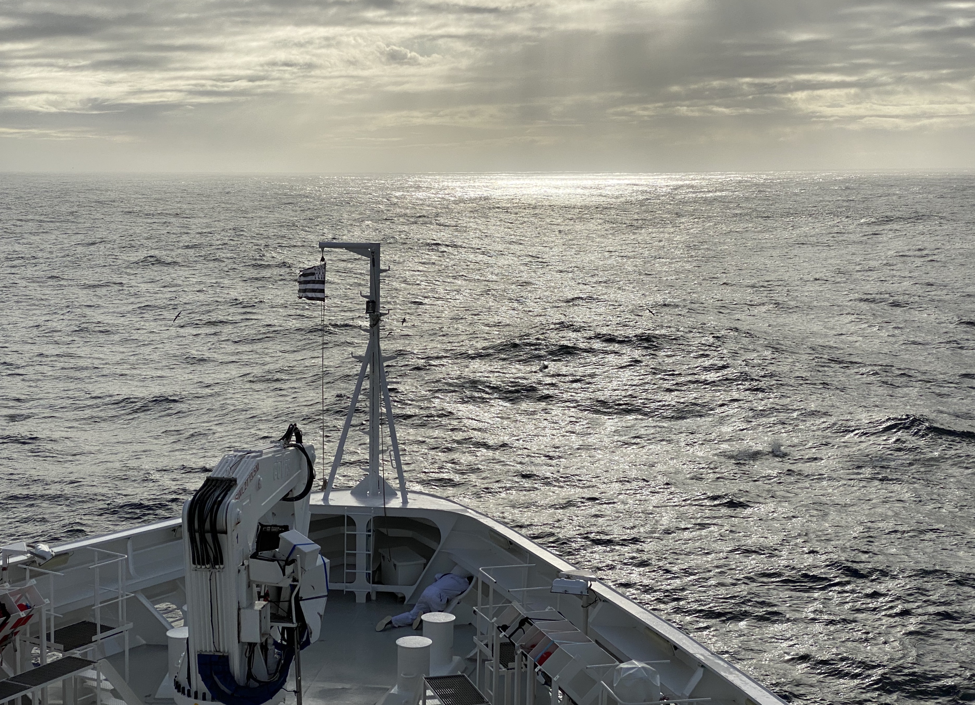 disease, disappointment and pirates… – ardysez